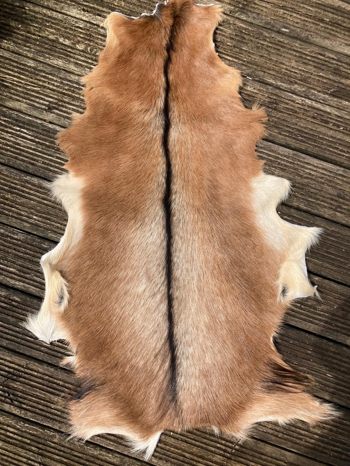 Goat Skin 28 - Street Goat