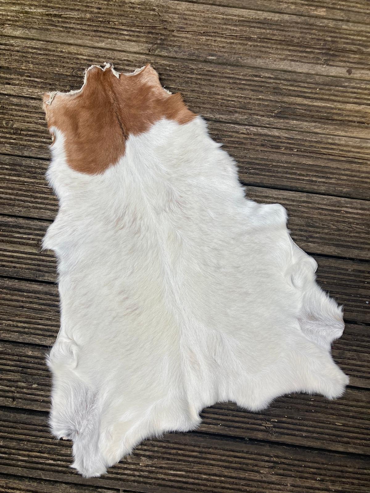 Goat Skin 4 - Street Goat